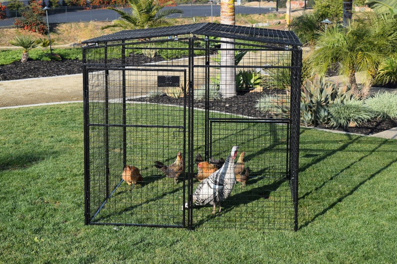 Universal Walk In Pen – OMANIMALSUPPLIES